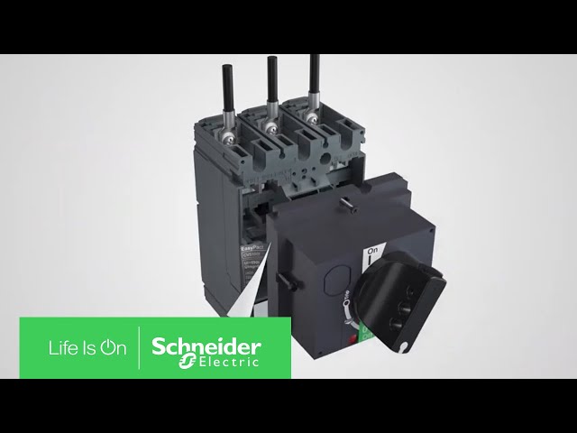 Schneider MCCB - LV510307 Schneider CVS MCCB Trader - Wholesaler ...