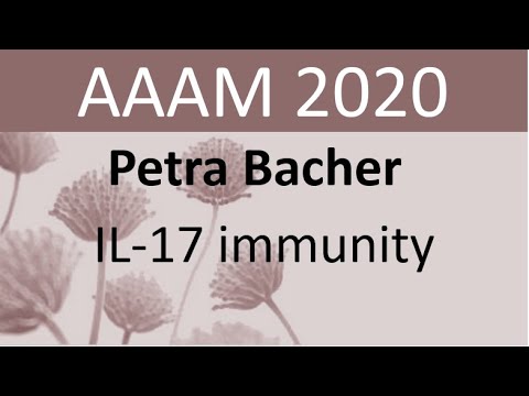 AAAM2020: Petra Bacher – IL-17 immunity