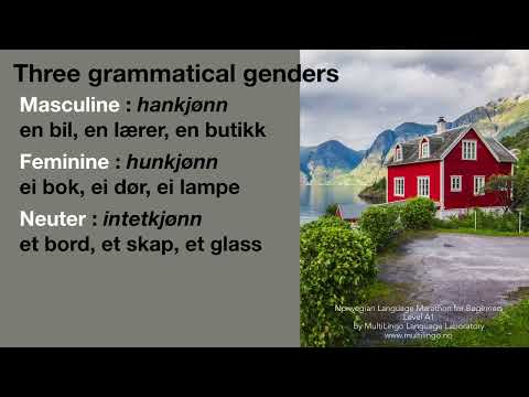 Norwegian nouns: three genders