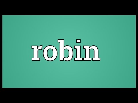 Robin Meaning