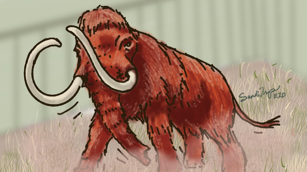 What You Need to Know to Prepare for Your Digital Afterlife