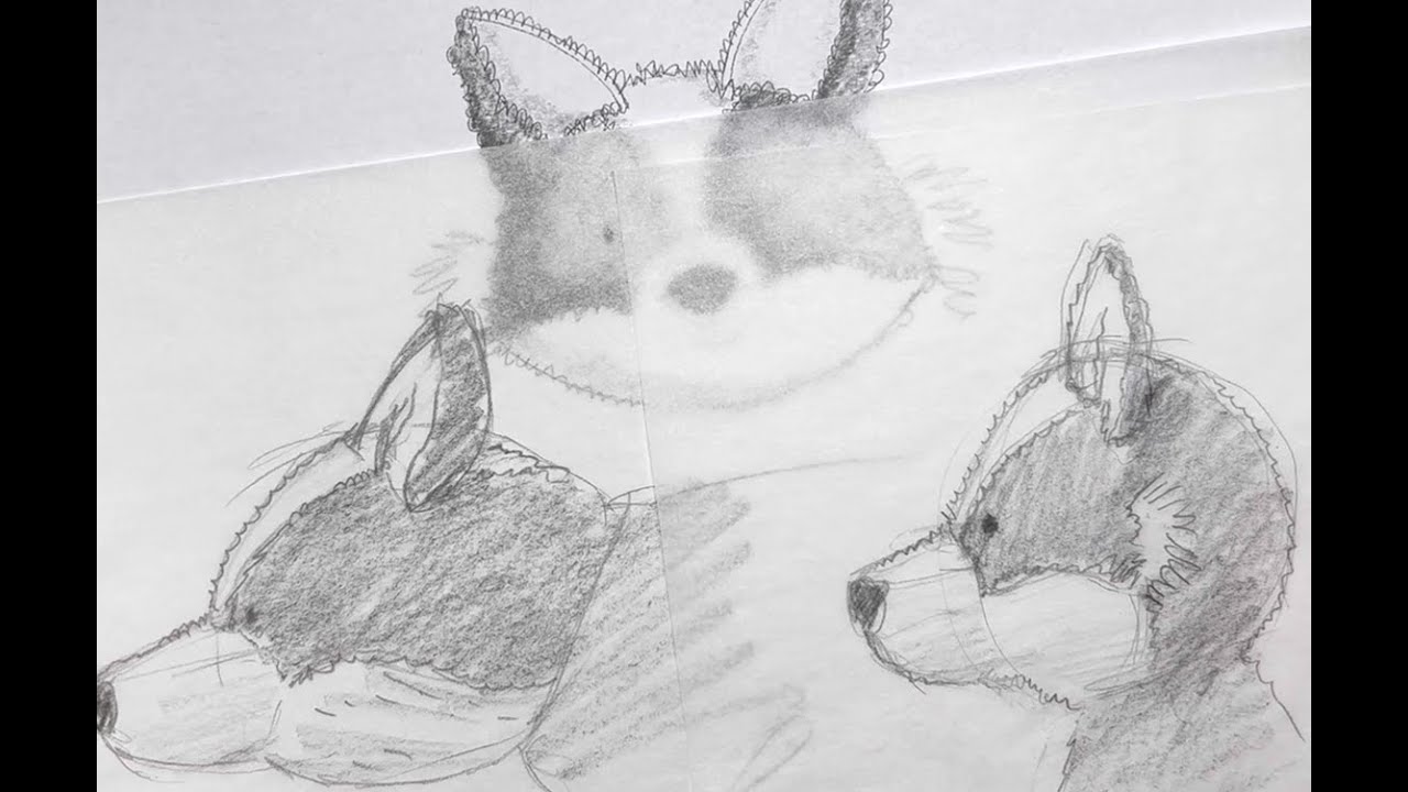 Fox Head sketches