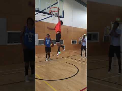 Andre 14