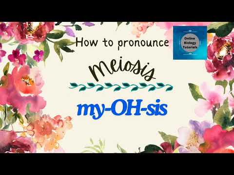 Learn pronunciation | How to say meiosis | How to pronounce meiosis | What is meiosis