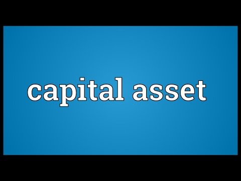 Capital asset Meaning