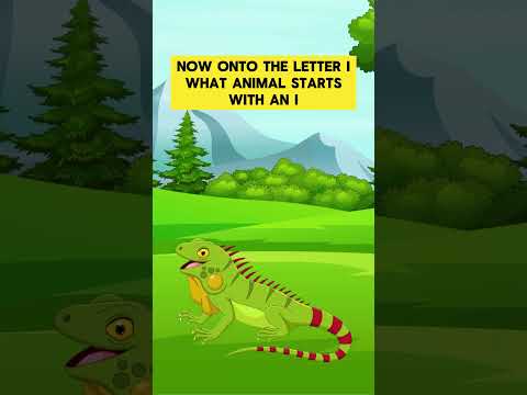 What animal starts with an I? Hmm... Itโs an Iguana #abc #animals