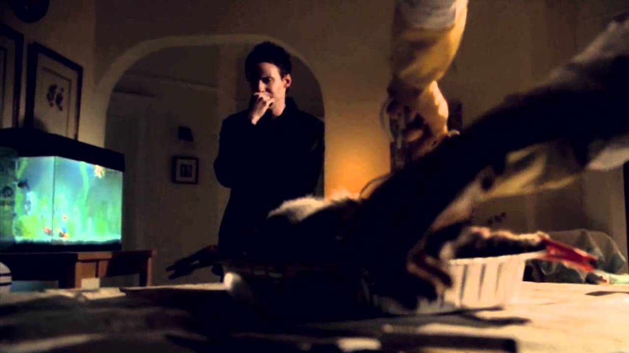 [ everything you need to know about Special Agent Dana Scully ]