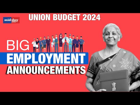 Union Budget 2024: Highlights of top employment initiatives taken by NDA Government