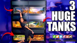 Elle's Reptiles - Custom Cages