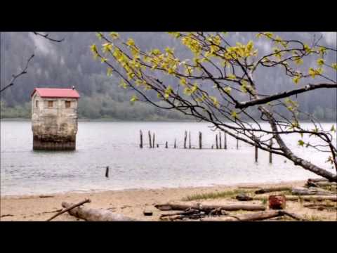 Treadwell Mine Trail | Patricia J. Angus