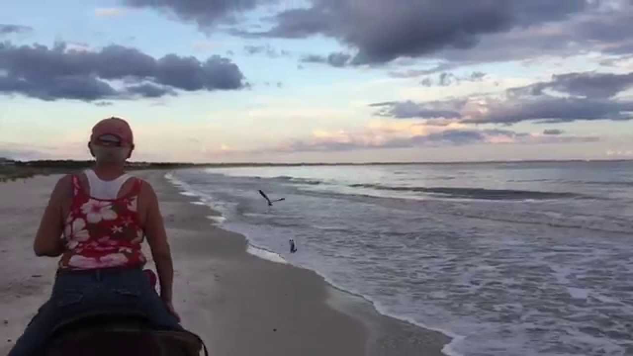 Two-Bit Stable Sunset Ride on the Beach
