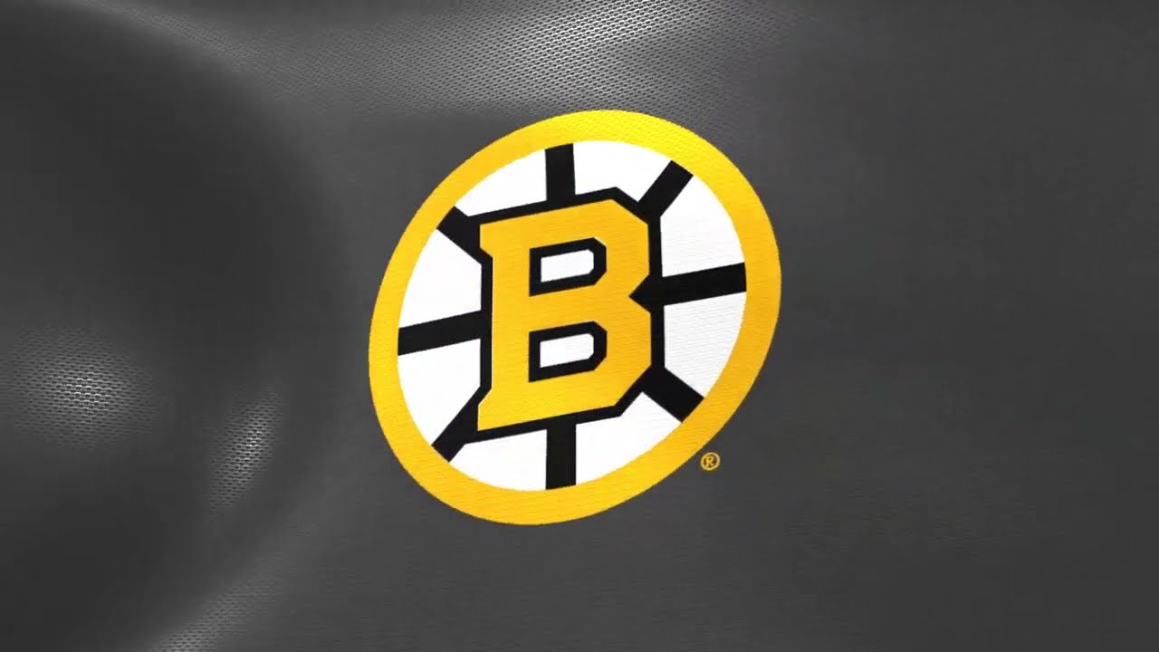 Boston Bruins Flag Logo Animation