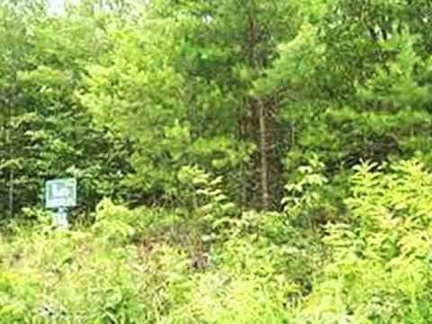 Homes for Sale - L53E Chamberlain Lane Sevierville TN 37862 - Tia Wells