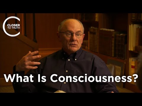 Warren Brown - What Is Consciousness?