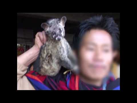 Wild Meat Trail - Market Clip