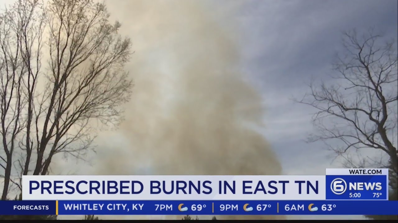 How prescribed burns in East Tennessee help mitigate wildfires
