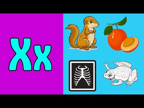 X letter words || Words That Start with X || Words That Start with Letter X || Kids Learning Videos