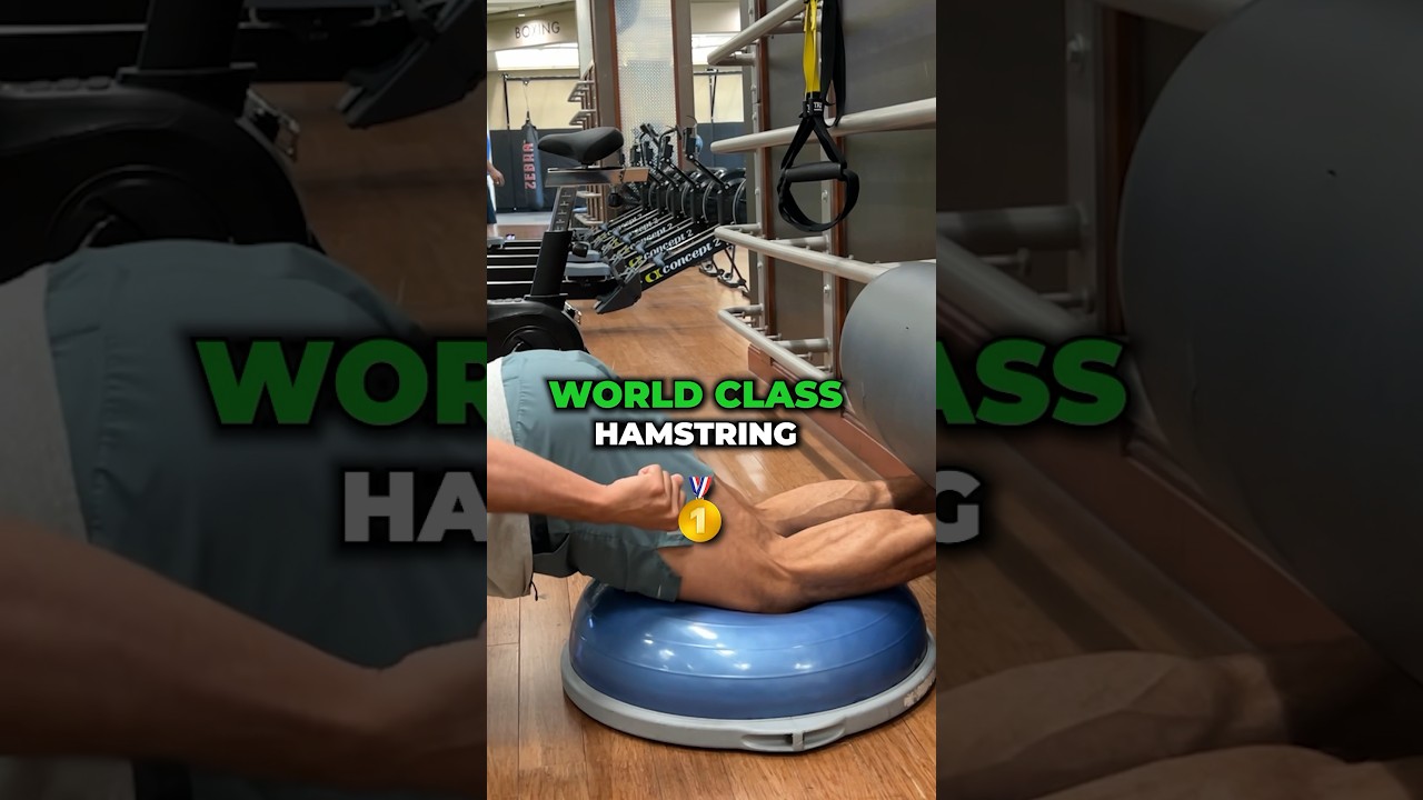 Hamstring Curl/Nordic Progression Guide