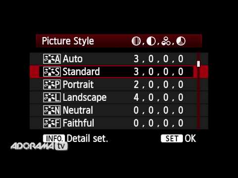 Digital Camera Picture Style Settings | Expert photography blogs, tip ...