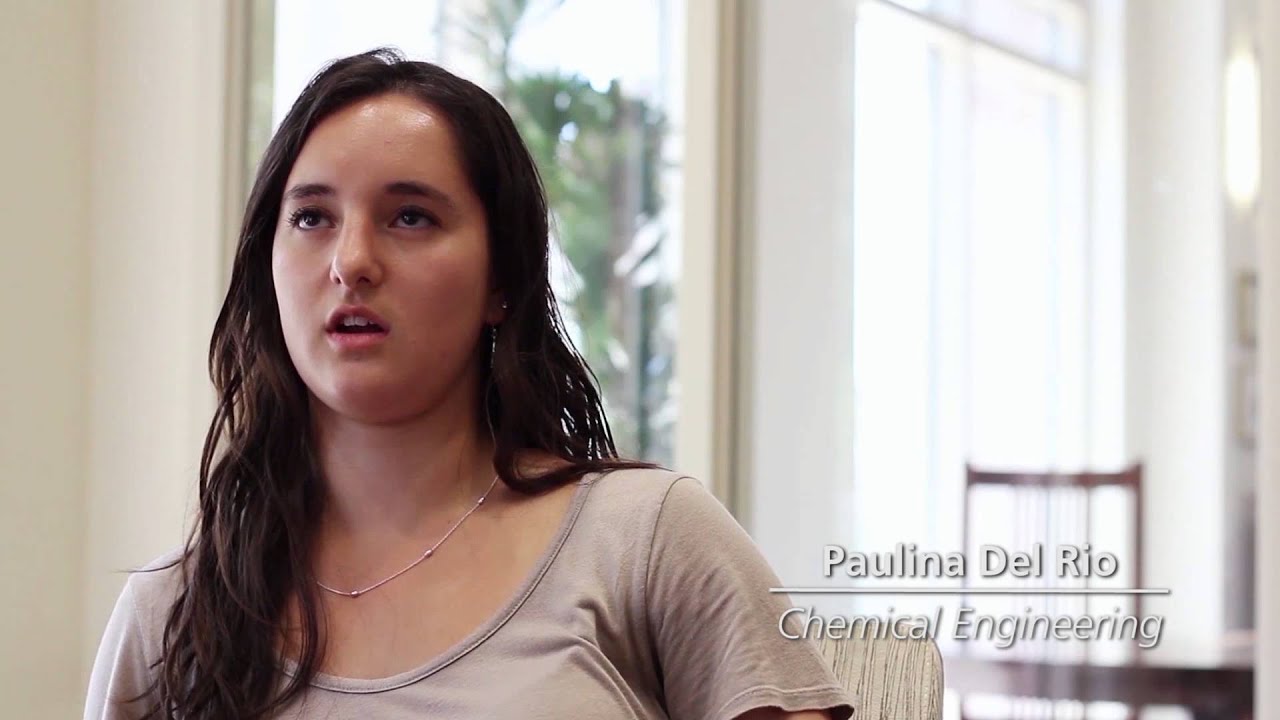 Why Did You Choose a STEM Program?