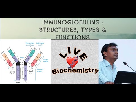 Immunoglobulins : Structure,types and functions