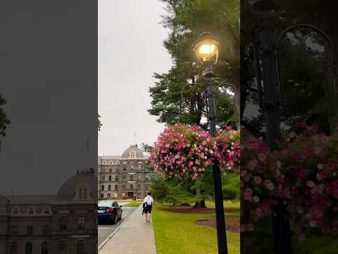 Evening walk inside Vassar college #newyork