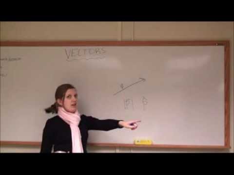 Vectors Definition