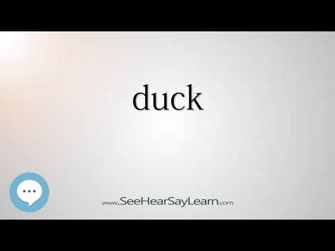 duck - Smart & Obscure English Words Defined 🗣🔊