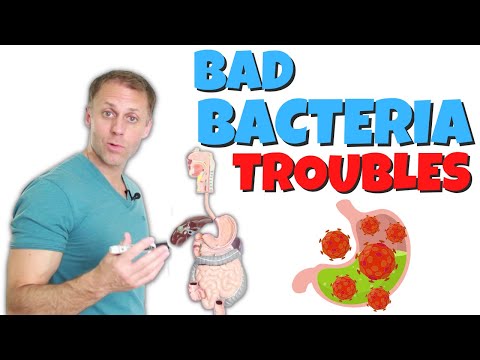 Signs of bad Bacteria in the Stomach