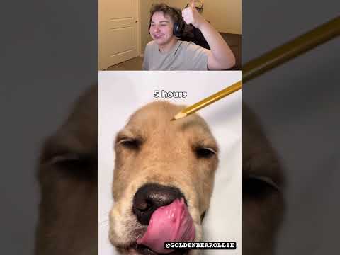 This Dog Drawing Is So Realistic