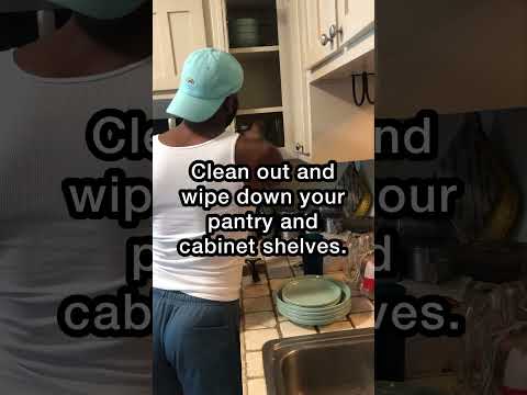 No pesky pests in the kitchen! | Orkin