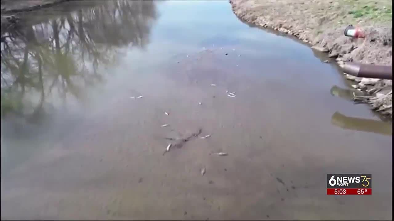 Nearly 750,000 fish killed in southwest Iowa fertilizer spill