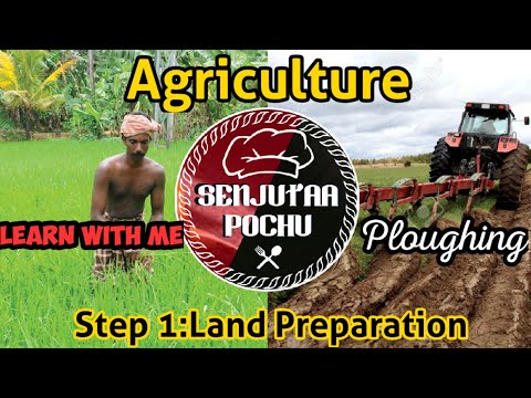 Agriculture | Reason behind Ploughing | உழுவதற்கான காரணம் | Learn With Me |Know about Agriculture