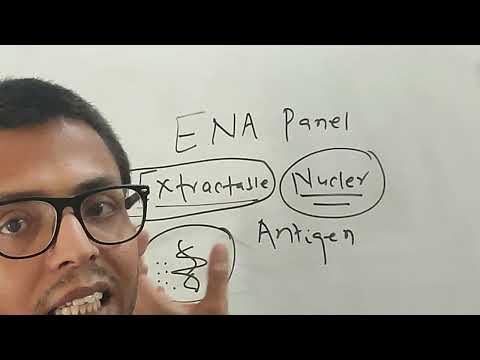 what is ENA panel test? what is extractable nuclear antigen panel test?