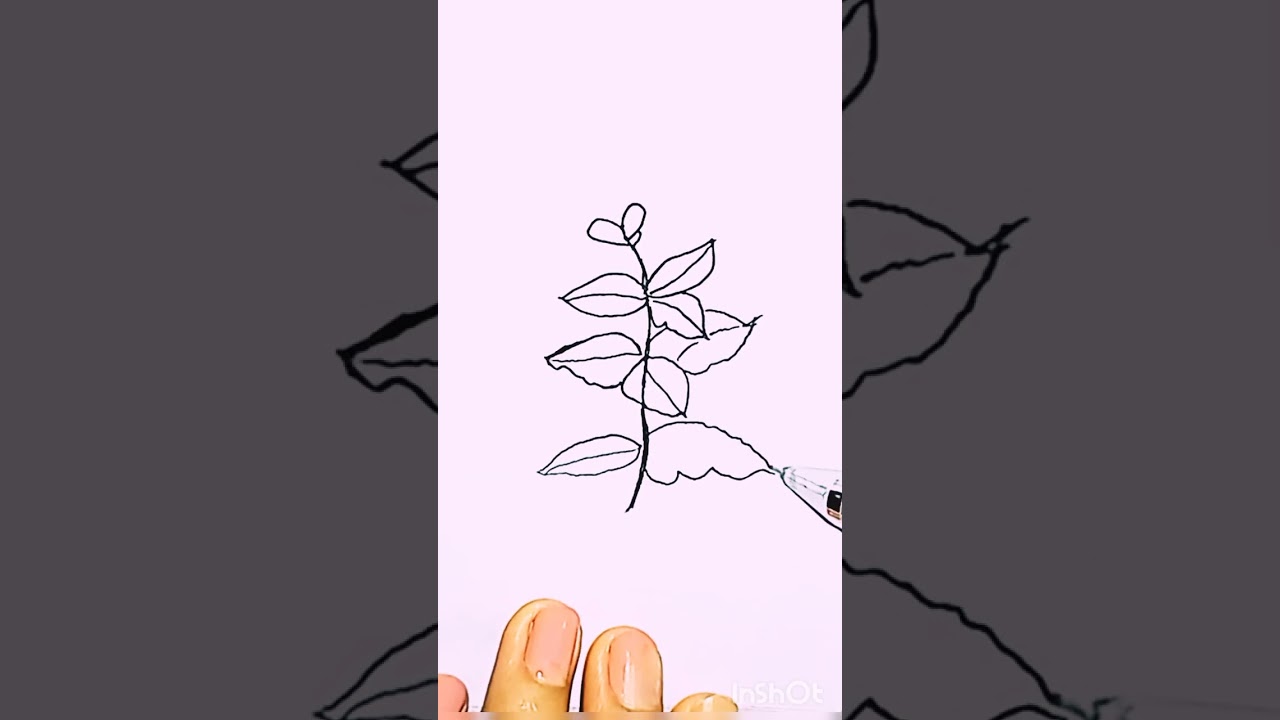 basil #taniatabassum #youtube #shortvideo