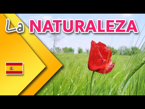 Spanish vocabulary about THE NATURE