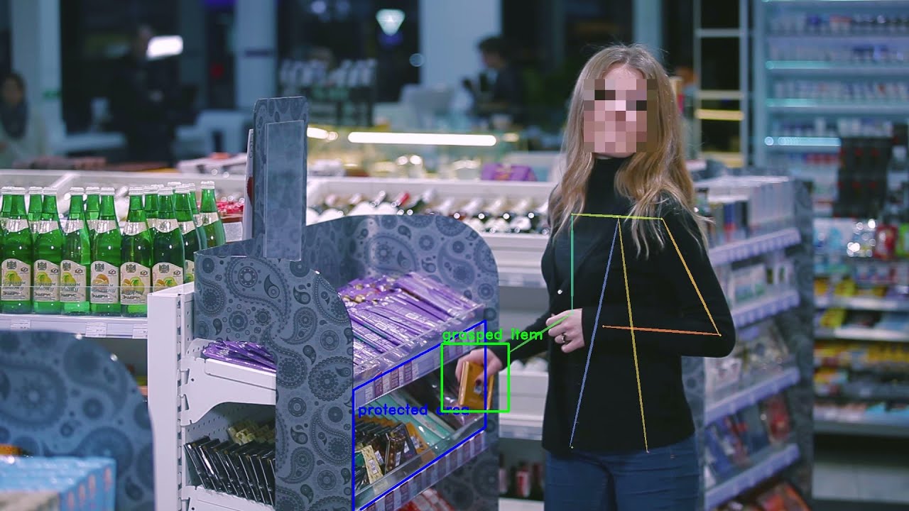 Shoplifting detection system