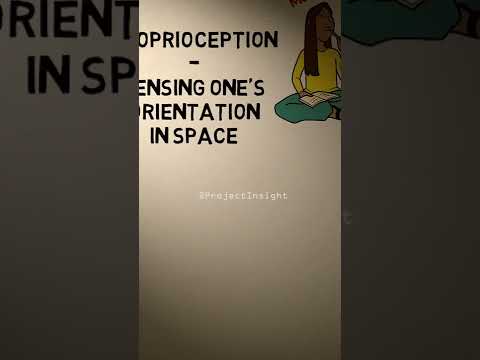 Do Humans Only Have Five Senses? | (ANIMATION)