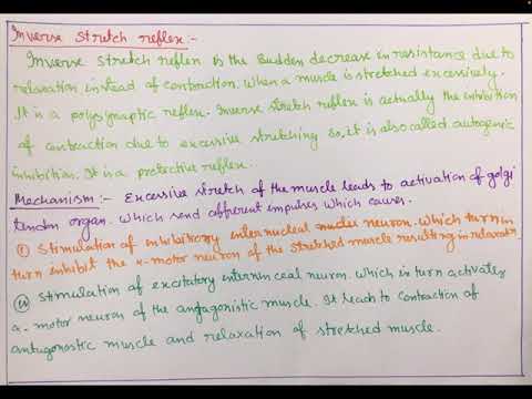 Inverse stretches reflex.