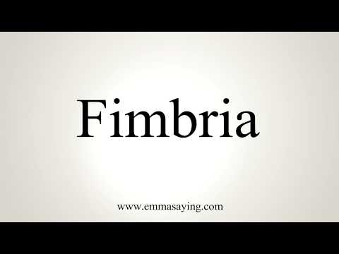 How To Pronounce Fimbria