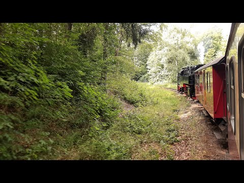 🚂🌲☀️☀️ 99 7243 verlässt den Bahnhof Mägdesprung mit Volldampf. 22.06.2025 ☀️☀️🌲🌲🚂🚂