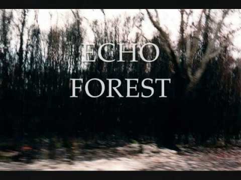 Introduction | Echo Forest