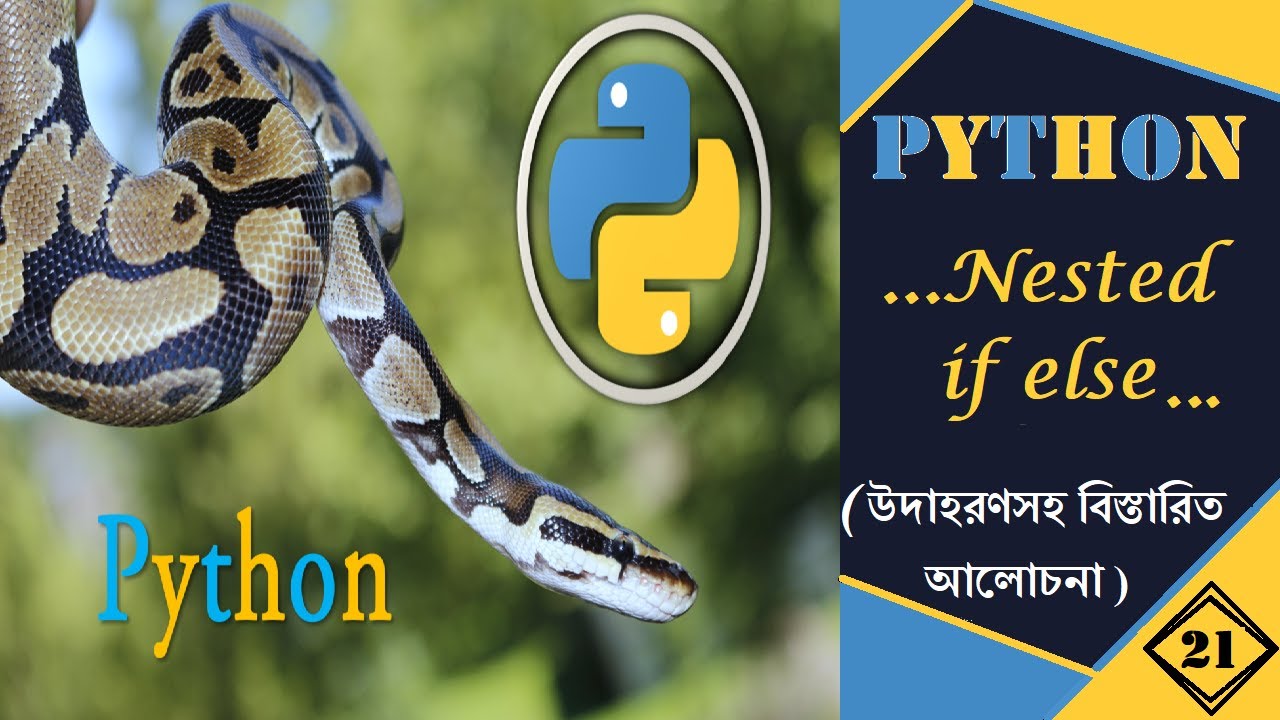 Nested If Else in Python | Python Tutorial | In Bengali | 21
