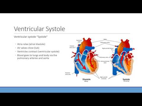 Section 2 Unit 2 - Circulation and EKG