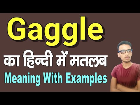 Gaggle meaning in hindi | Gaggle ka matlab kya hota hai | daily use english words | word meaning