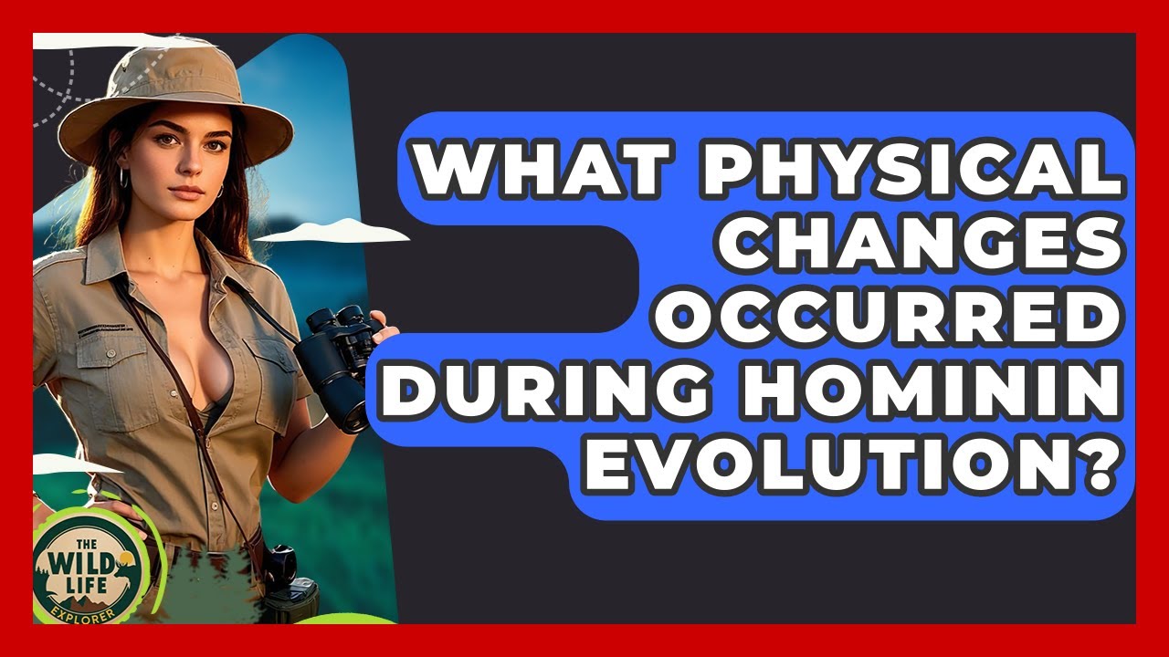 What Physical Changes Occurred During Hominin Evolution? - The Wild Life Explorer