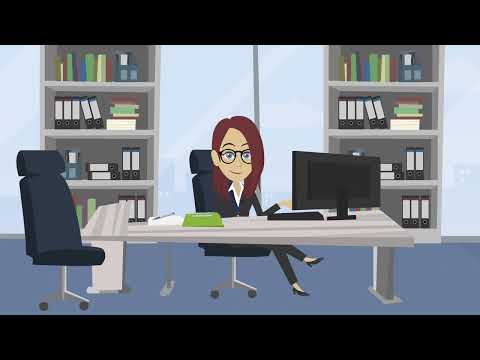 What is portfolio investment entity