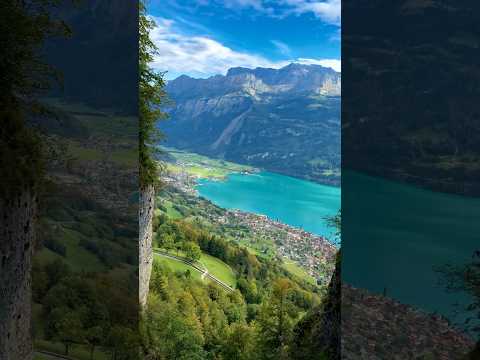 Ok. wow 😮 #shortsvideo #youtubeshorts #nature #switzerland #suisse #travel #schweiz #brienz