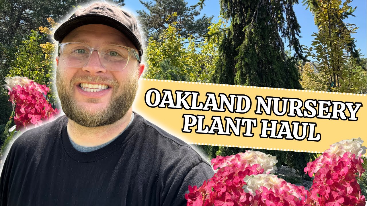 We Couldn’t Resist These Shrubs! Oakland Nursery Plant Haul 🪴