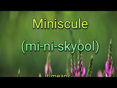 Miniscule Meaning